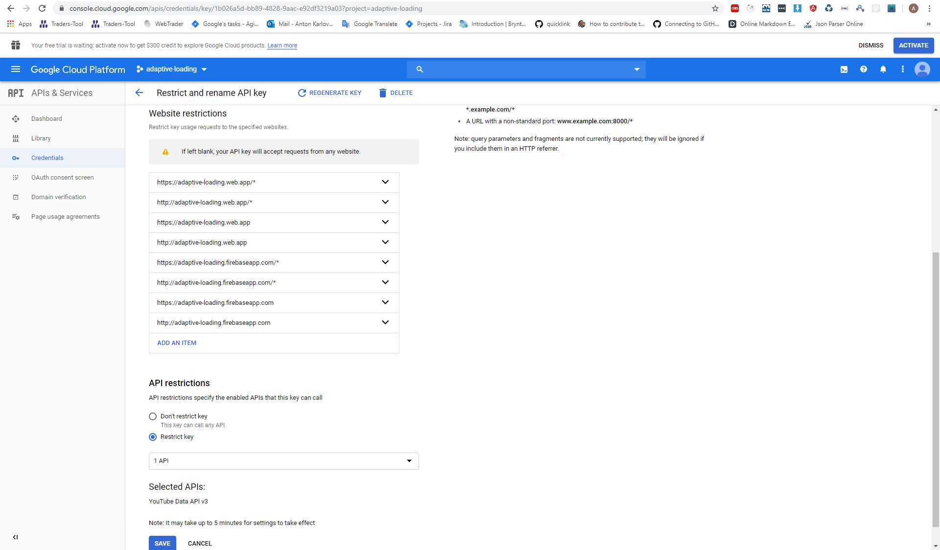 [Config] Implement API key safety restrictions · Issue #91 · GoogleChromeLabs/adaptive-loading ...