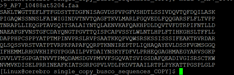 GitHub - mcmurtrs/Making-a-Phylogenetic-Tree-with-BUSCO-Genes