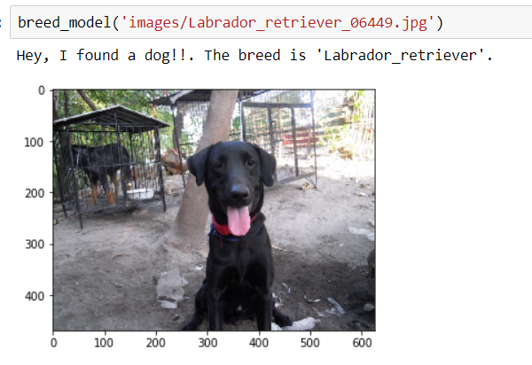 GitHub - alexrop/cnn_dog_breed_classifier: Convolutional Neural Network ...