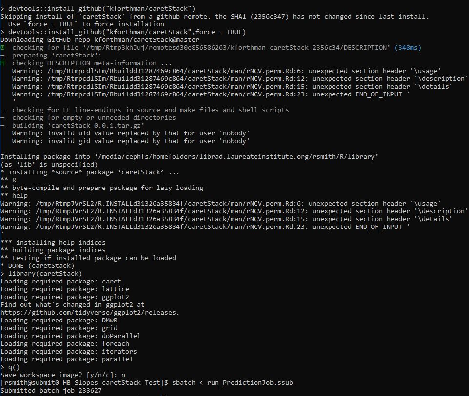 No Package Called ‘doparallel · Issue 3 · Kforthmancaretstack · Github 4497