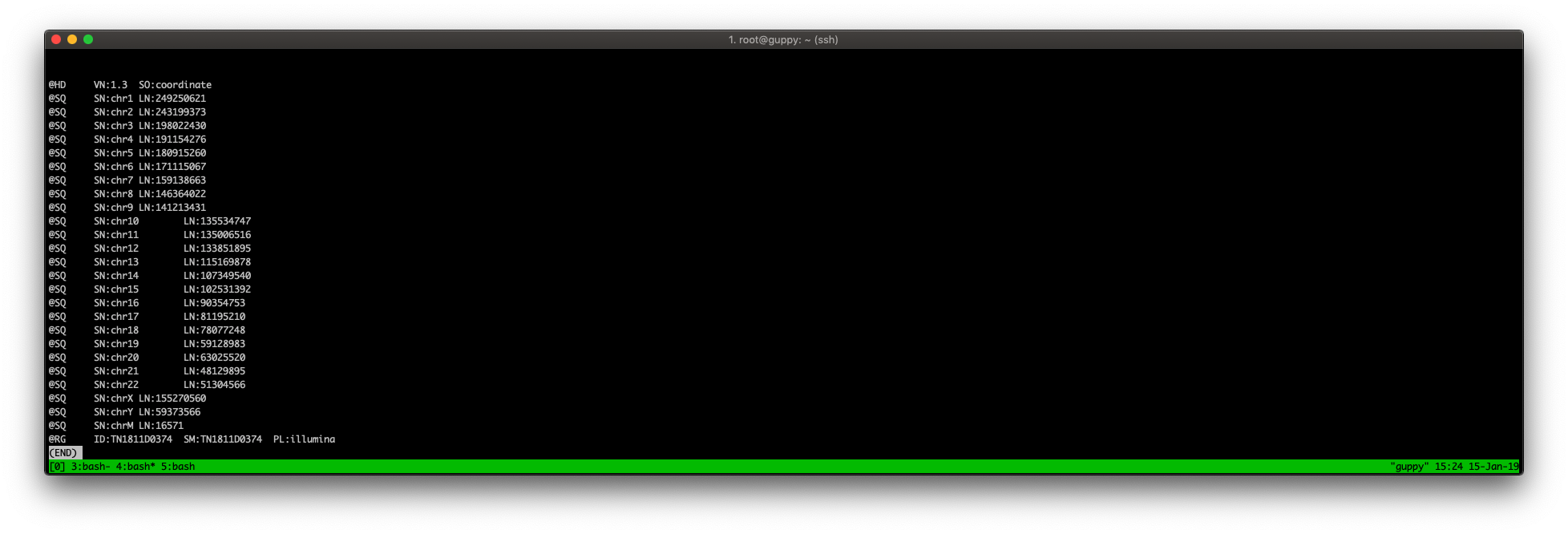 ValueError: Not found: Could not open BAM file · Issue #141 · google/deepvariant · GitHub