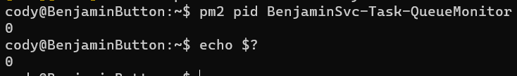 How do I call `pm2` to check if a process with given name is running? · Issue #325 · Unitech/pm2 ...