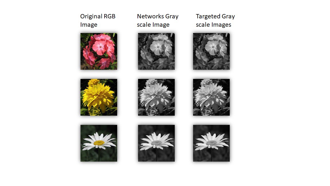 GitHub - Sripriya07/RGB_TO_GRAYSCALE_NeuralNetwork