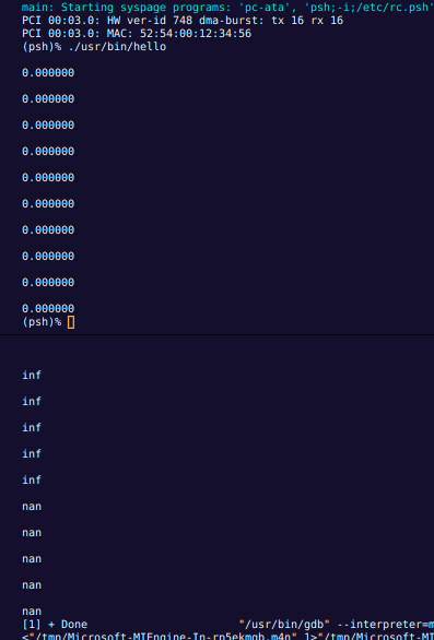 Scanf Inf and Nan handling problem · Issue #634 · phoenix-rtos/phoenix-rtos-project · GitHub