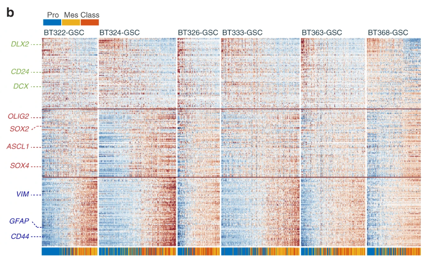 DoHeatmap, how to display specific genes · Issue #6214 · satijalab/seurat · GitHub