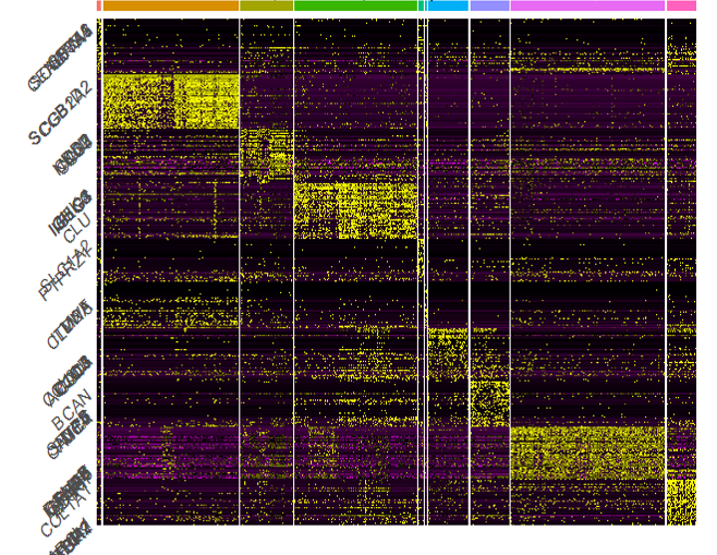 Doheatmap How To Display Specific Genes · Issue 6214 · Satijalabseurat · Github