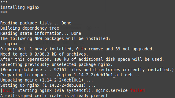 Electrum not connecting to Electrs · Issue #1131 · raspiblitz/raspiblitz · GitHub