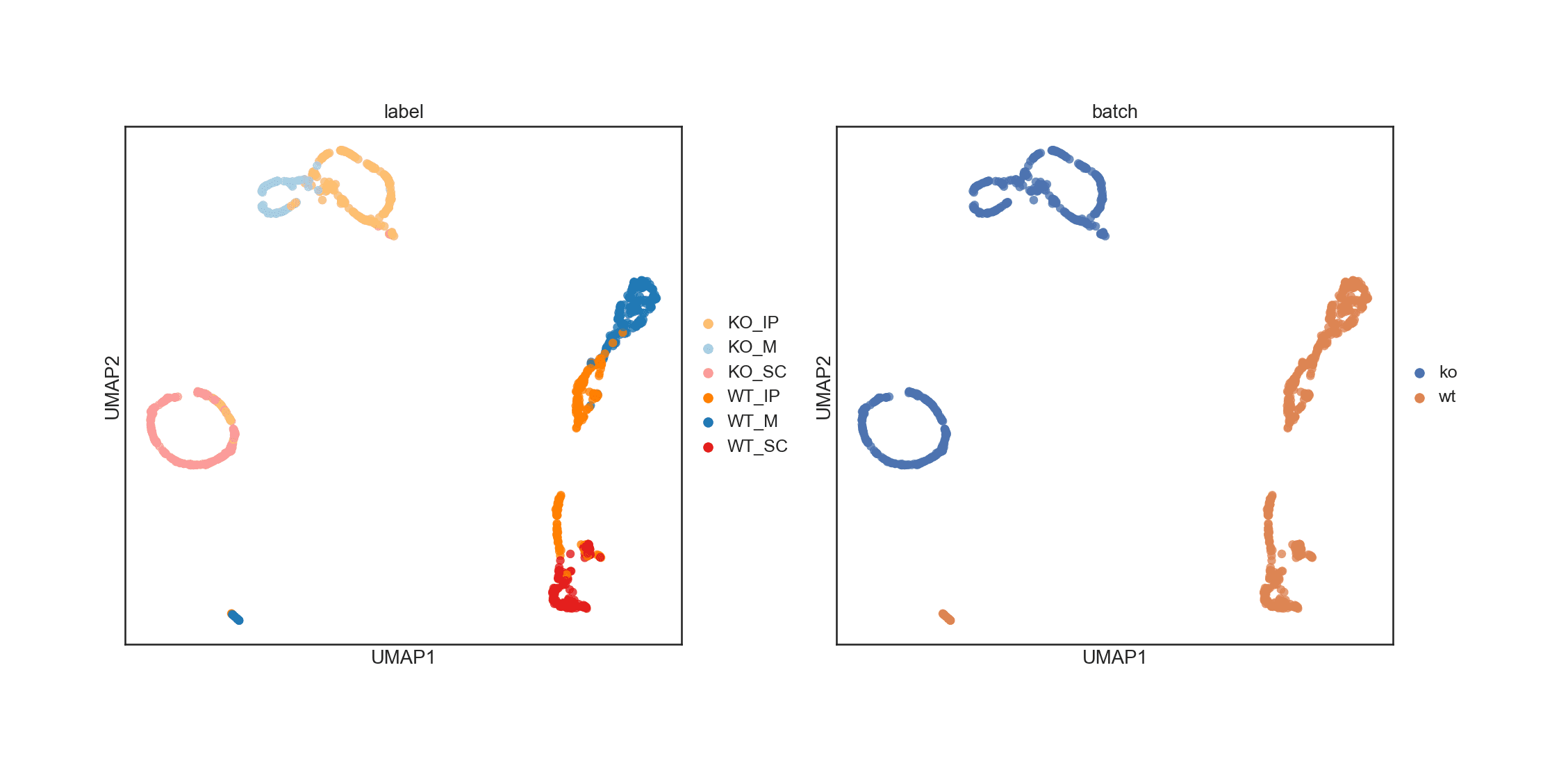 map_new_data align two sets poorly in umap. · Issue #109 · pinellolab/STREAM · GitHub