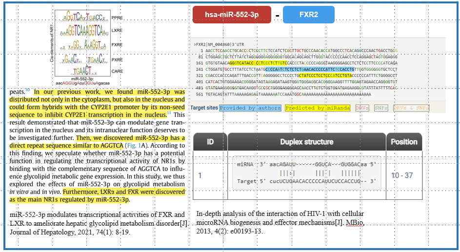GitHub - huang961372045/New_miRNATargetPrediction_byTransformer: This is a new deep learning ...