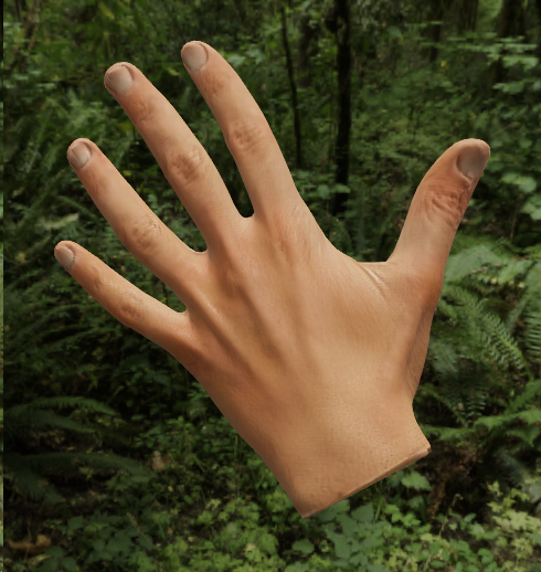 Provide dedicated skin and hair shaders for creating realistic human ...