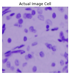 GitHub - Aurora717/W-net-A-Deep-Model-for-Fully-Unsupervised-Image-Segmentation