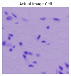 GitHub - Aurora717/W-net-A-Deep-Model-for-Fully-Unsupervised-Image-Segmentation