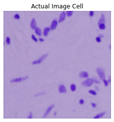 GitHub - Aurora717/W-net-A-Deep-Model-for-Fully-Unsupervised-Image-Segmentation