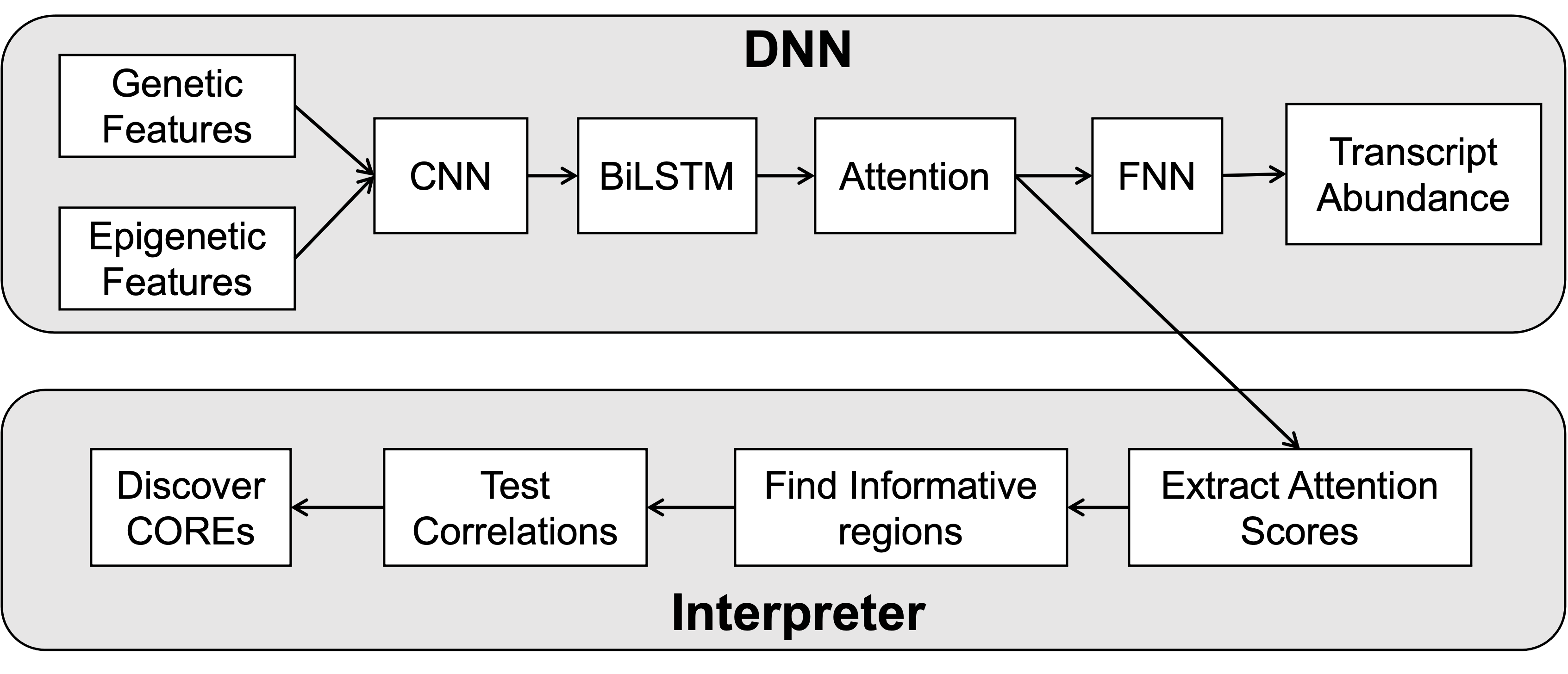 GitHub - liliulab/DeepCORE