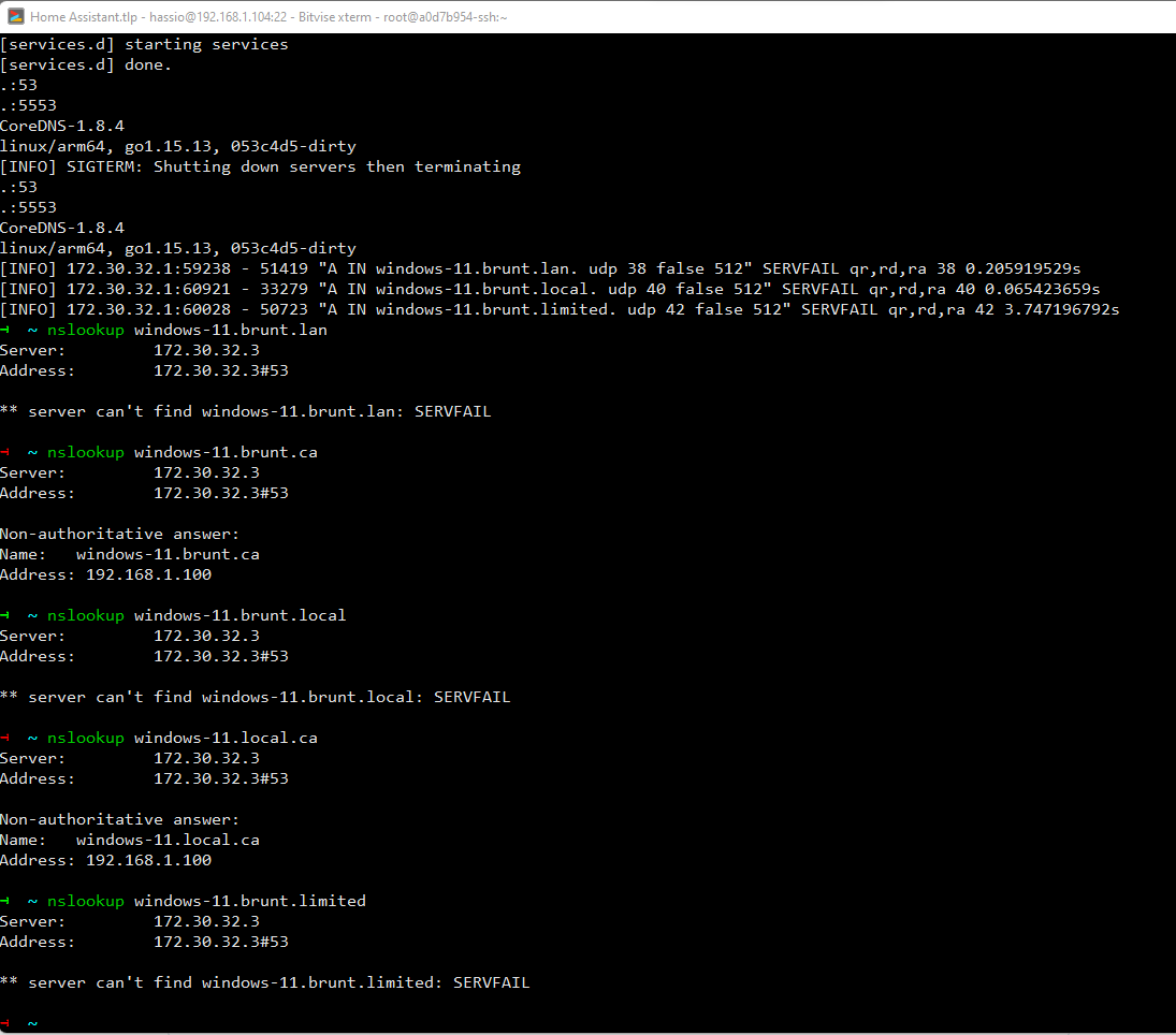 Not resolving local host names · Issue #20 · home-assistant/plugin-dns · GitHub