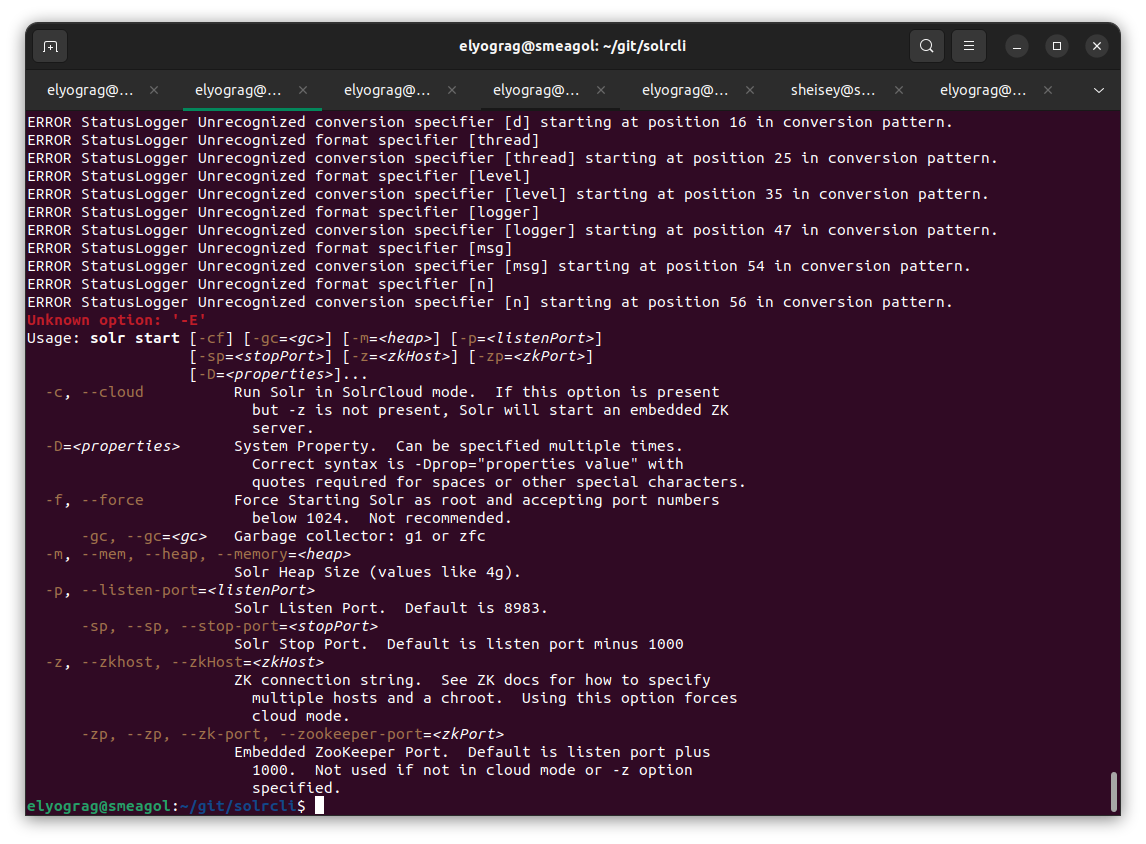 Little Questions · Issue 2021 · Remkoppicocli · Github
