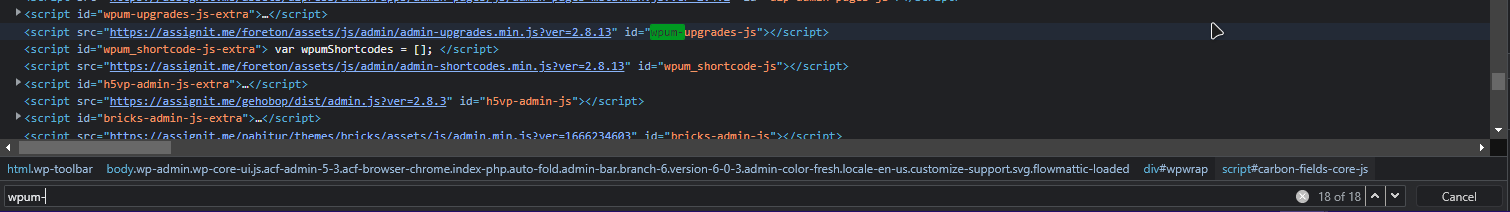 Unnecessary scripts loading on backend and frontend of the pages ...