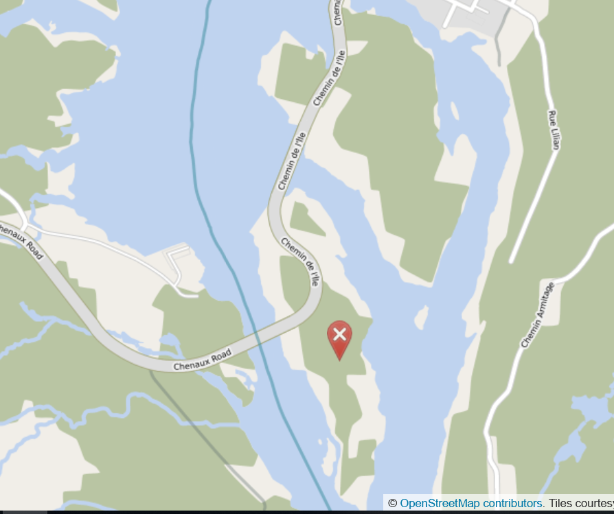 [Regression] water=river rendering inner object, rendered as water ...