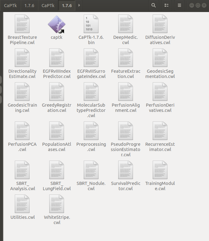 Feature extraction didn't generate some of the features in TCGA paper ...