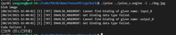 [08/24/2021-16:40:02] [E] [TRT] INVALID_ARGUMENT: Cannot find binding of given name: input_0 ...