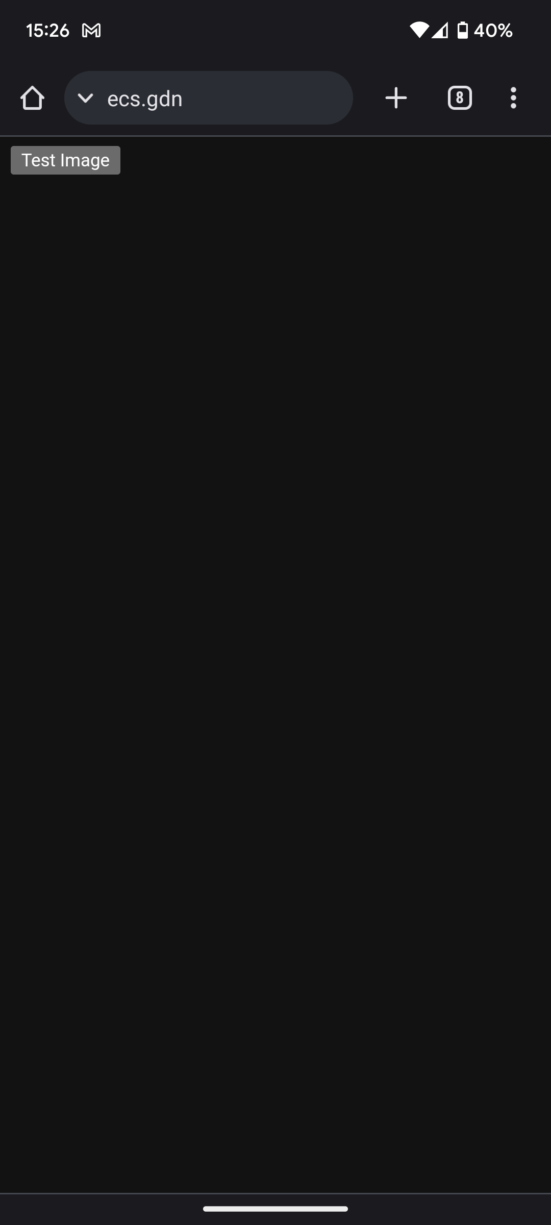 False positive: ecs.gdn · Issue #756 · DandelionSprout/adfilt · GitHub