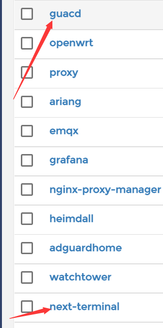 有字体但是一些特殊字符无法正确显示 · Issue #279 · dushixiang/next-terminal · GitHub
