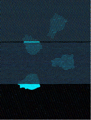 PaddleX/deploy/cpp/demo/model_infer.cpp编译后生成model_infer.exe，使用demo中的yolov3模型作为输入，无结果显示 · Issue ...