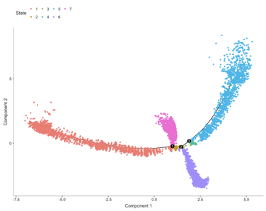 Comparing gene expression in different monocle trajectory states ...