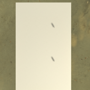 Topdown View Floorplan21 · Issue #295 · allenai/ai2thor · GitHub