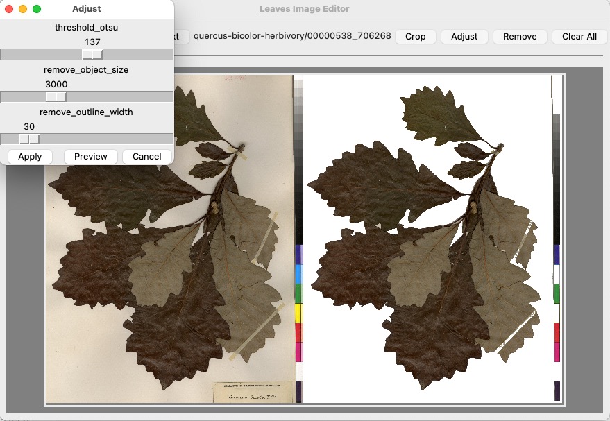 GitHub - ALEXLANGLANG/Leaf-Damage-Semantic-Segmentation: We decreased ...