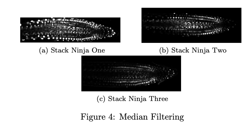 GitHub - SahilRai22/bio-image-processing: Using image processing techniques to facilitate more ...