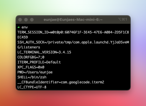 환경 변수 (Environment Variable) 이해하기 · Issue #8 · eunjae-lee/learnwitheunjae · GitHub