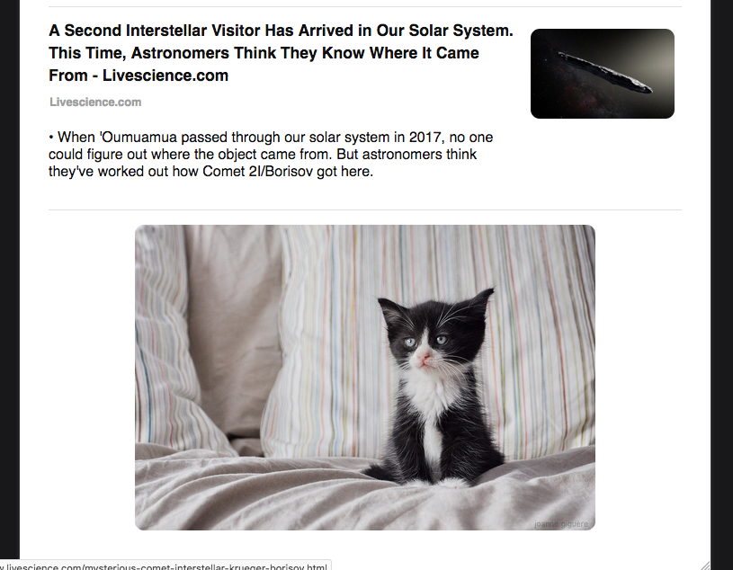 GitHub - JDHofmann/news-break