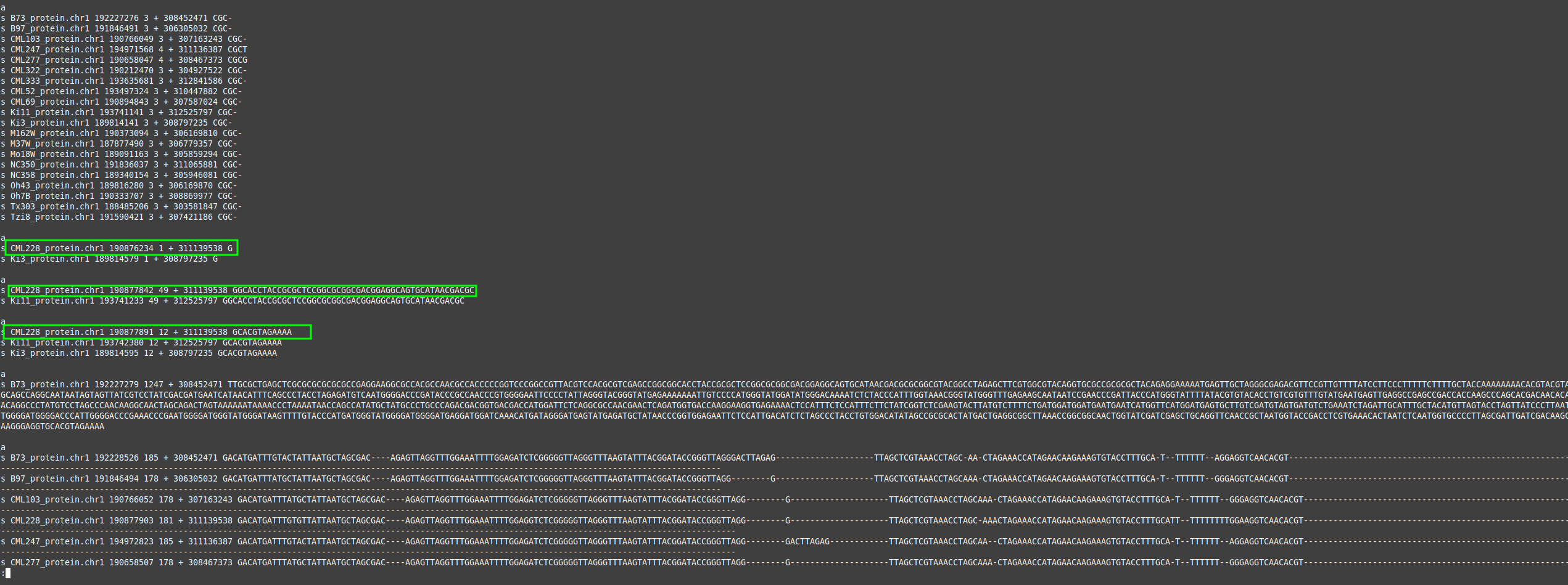 Hal2maf · Issue 1000 · Comparativegenomicstoolkitcactus · Github 