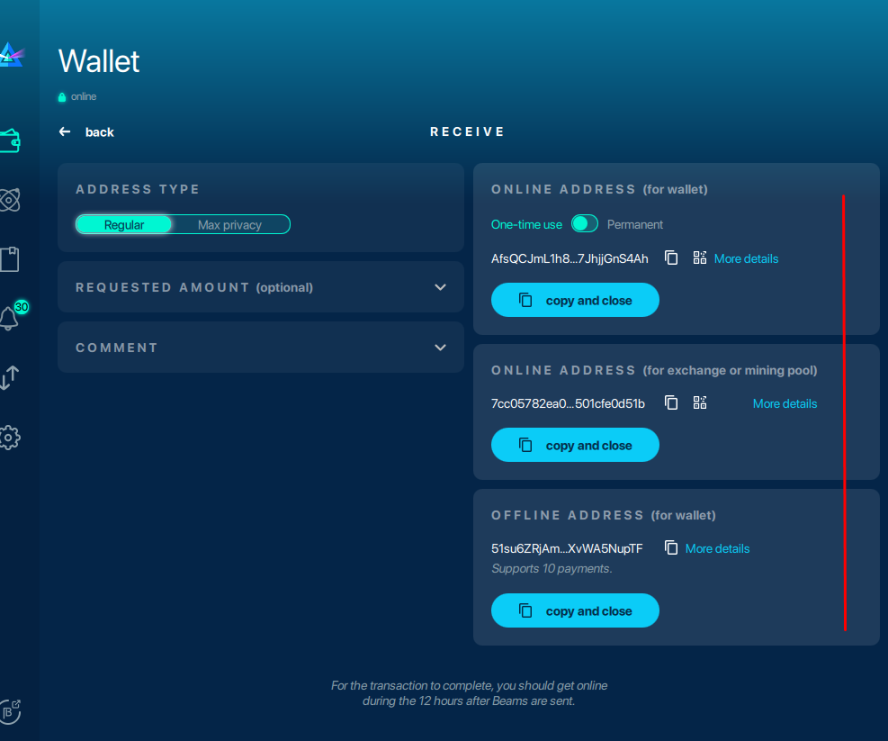 Correct the input fields · Issue #504 · BeamMW/beam-ui · GitHub
