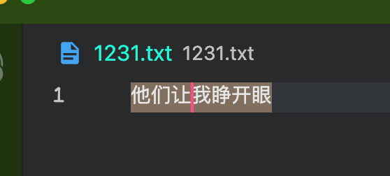 cursor在段落中间也希望补全 · Issue #9 · HAMNET-AI/sentence-copilot-vscode-extension · GitHub