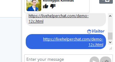 Link issue. Links from visitor are not underline in the operator console. · Issue #1314 ...