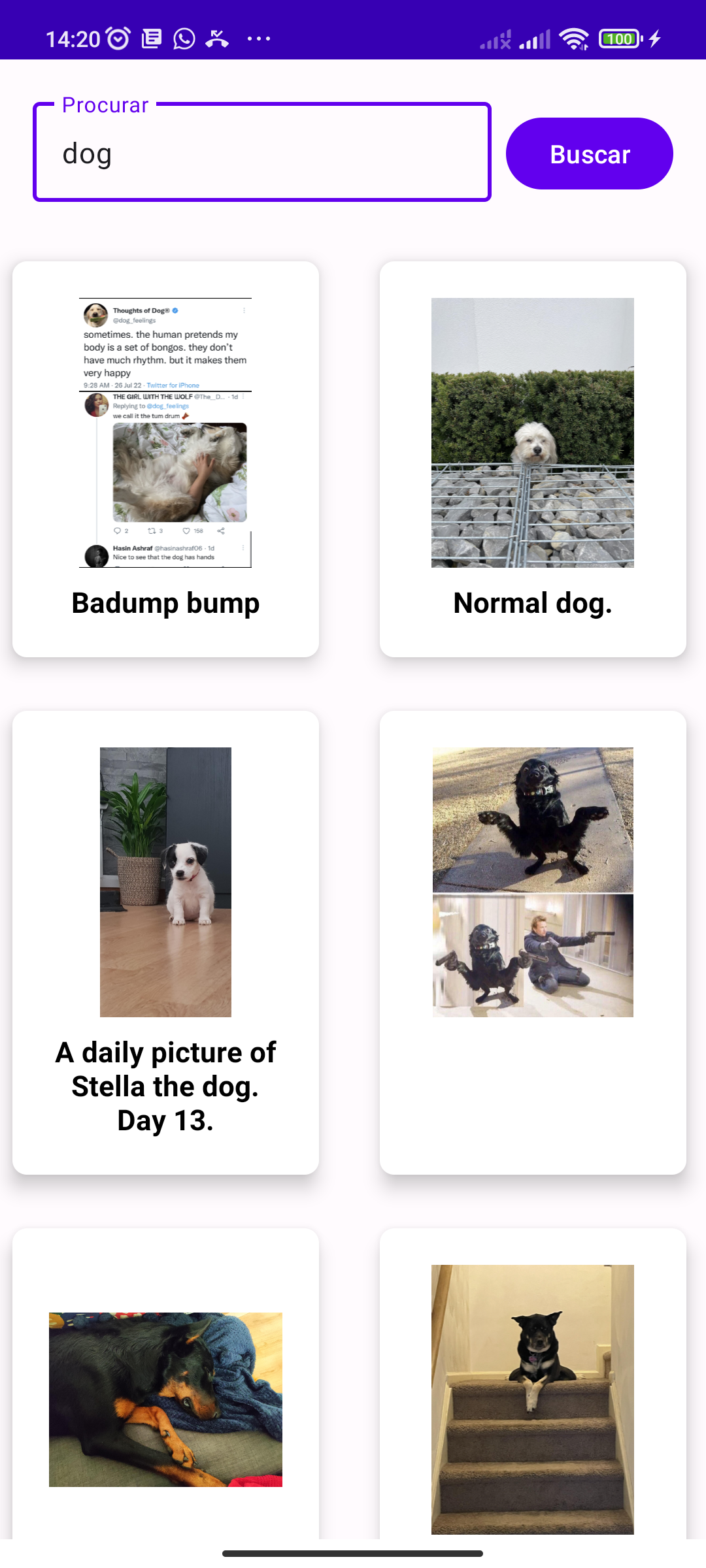 GitHub - Brunostd/ImgurCats