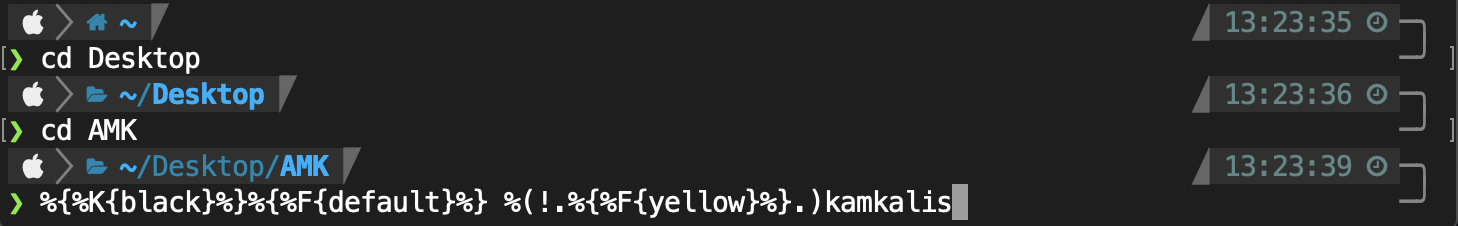 Weird symbols showing on prompt · Issue #994 · romkatv/powerlevel10k · GitHub