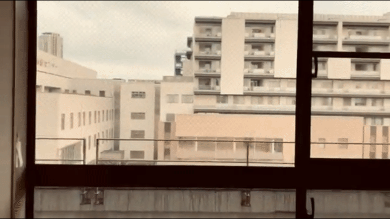 GitHub - zydezu/ModernX: My fork of modernX (a replacement for MPV that ...