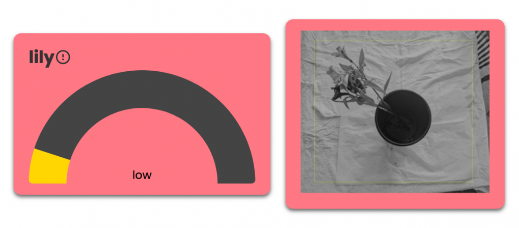 GitHub - TyDataSci/Flowershop-GoBackend