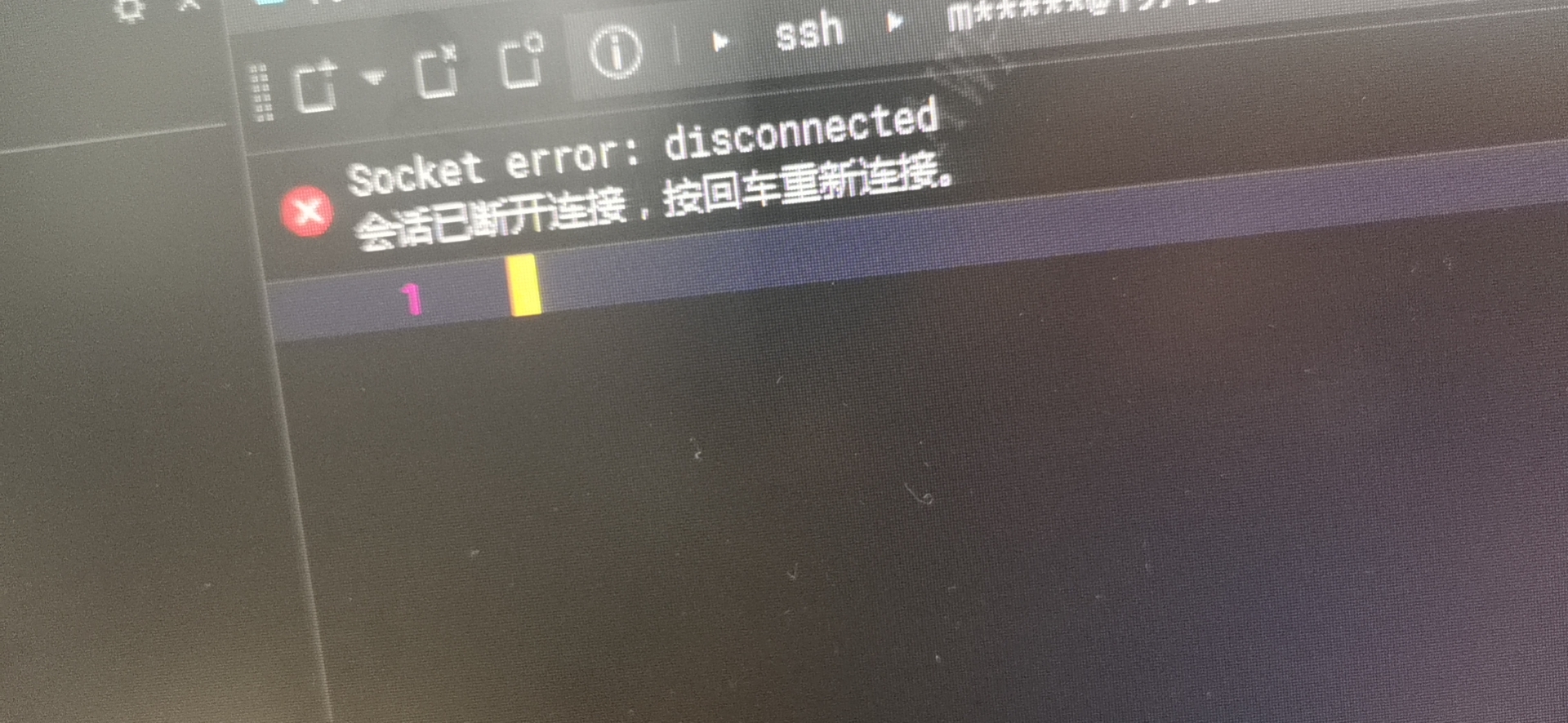 ssh无法连接，其他工具正常，其他服务器也正常 · Issue #974 · kingToolbox/WindTerm · GitHub