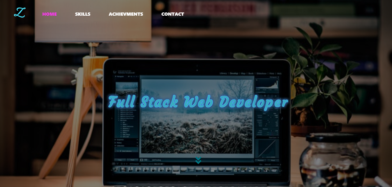 GitHub - zementalist/Portfolio