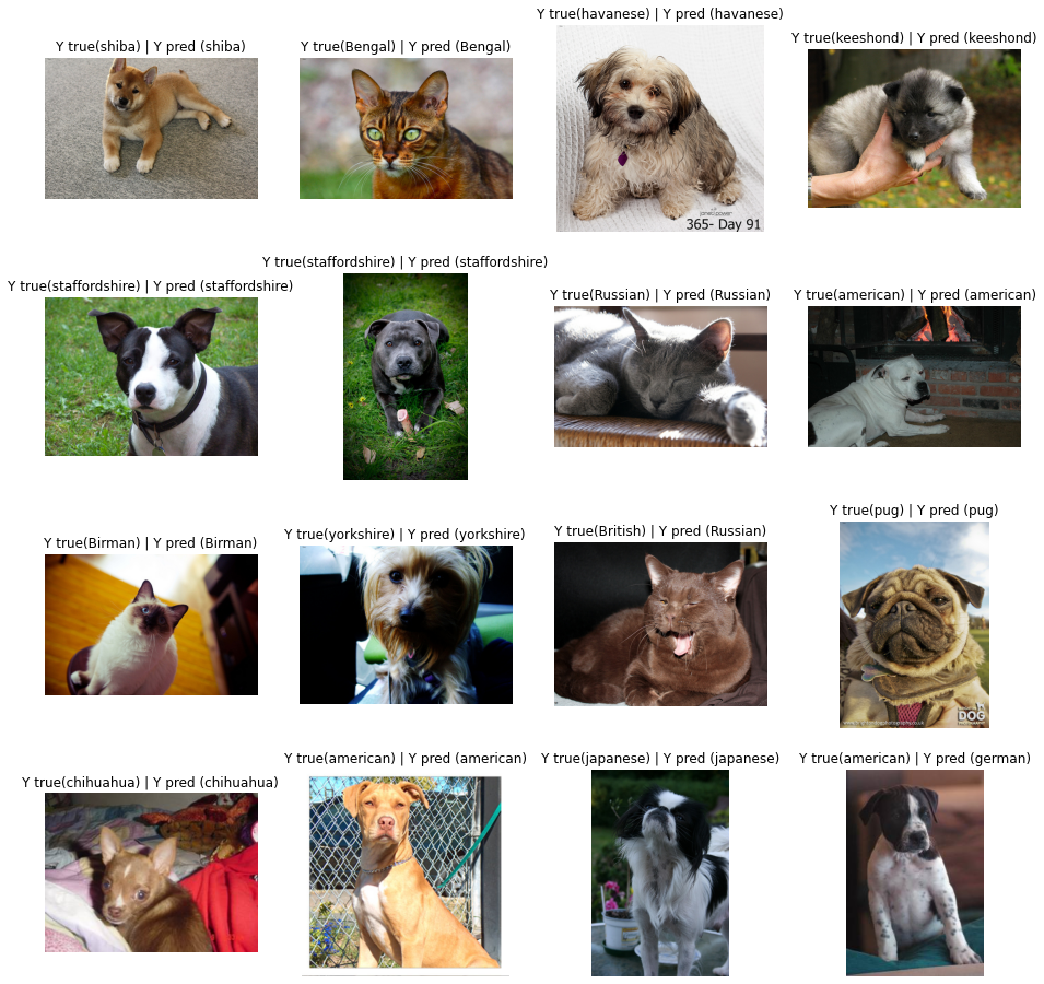 GitHub - zementalist/Pet-Breed-Recognition-API