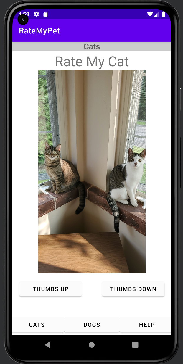 GitHub - Kaleb542/Rate-My-Pet