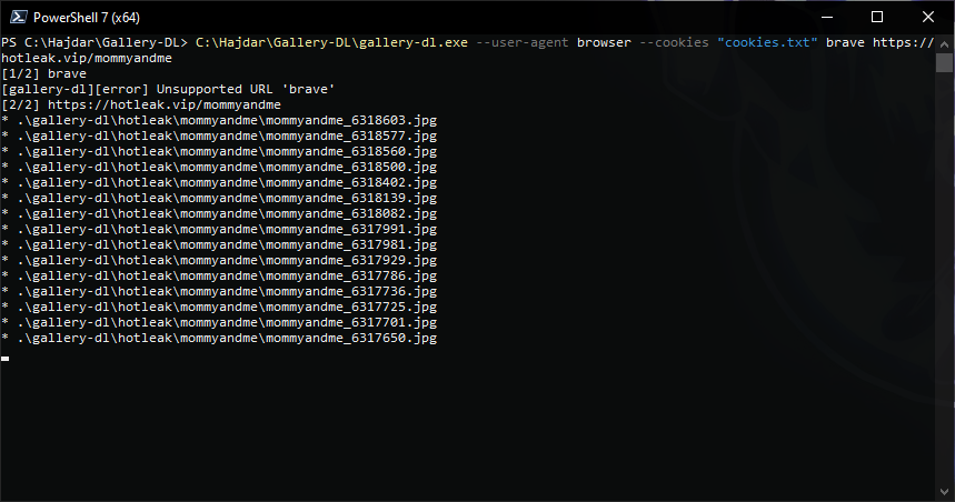 Hotleak Error · Issue #3288 · mikf/gallery-dl · GitHub