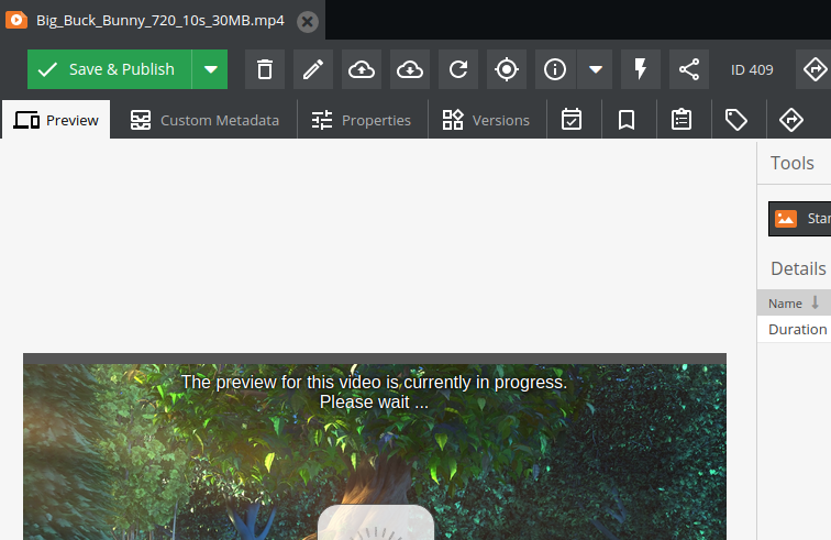 [Bug]: Constant refreshing/regenerating of preview of uploaded video asset · Issue #11287 ...