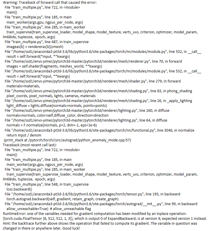 One Of The Variables Needed For Gradient Computation Has Been Modified By An Inplace Operation