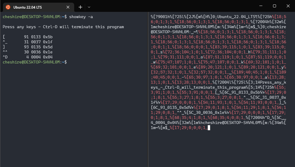 Control Key Modifier Chords Interpreted Incorrectly When Using Custom Keyboard Layout · Issue