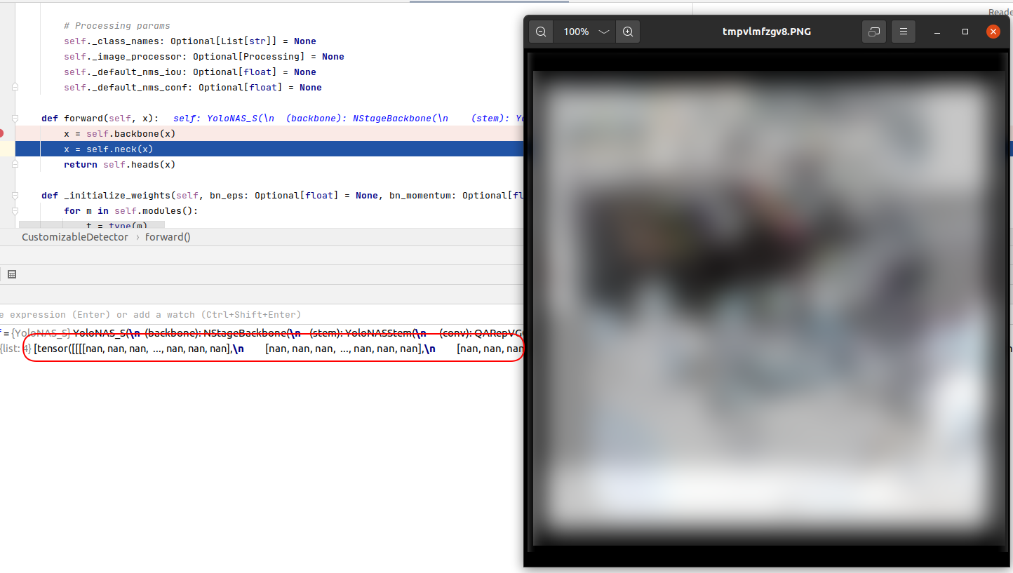 YOLO-NAS model loss turning to nan's during training · Issue #1081 · Deci-AI/super-gradients ...